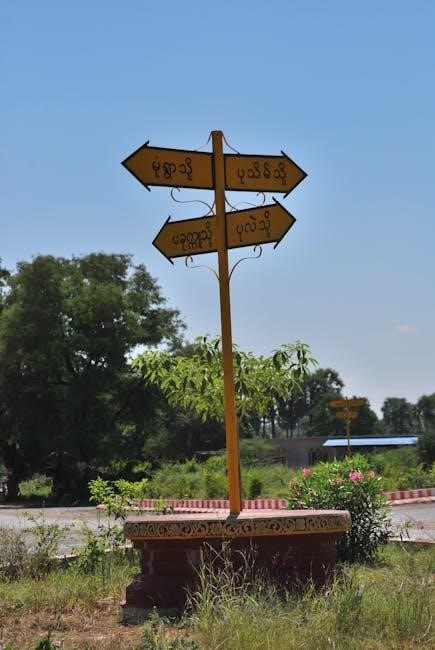 Gleason Guide: Your Compass to Understanding Prostate Cancer